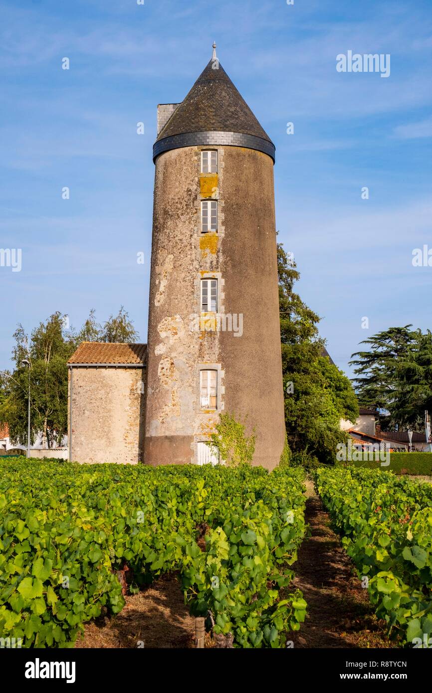 Vallet loire atlantique hi-res stock photography and images - Alamy