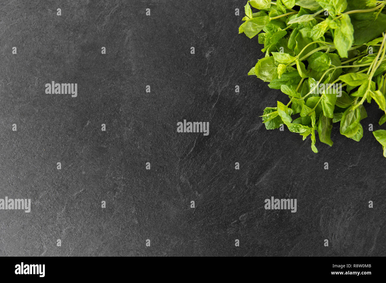 Dark green mint green hi-res stock photography and images - Alamy