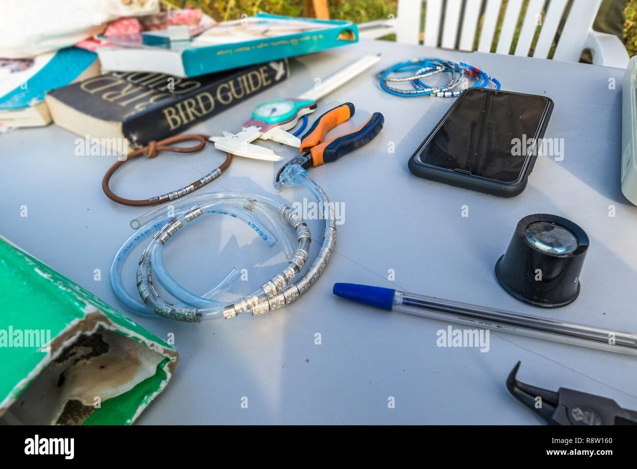 Bird Ringing Station Tools Set Up Table Stock Photo - Alamy