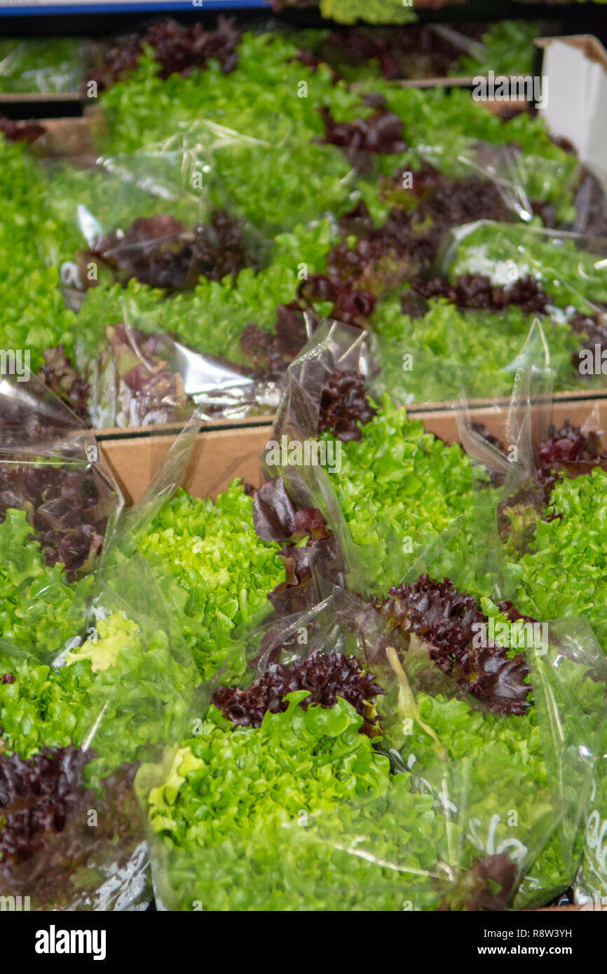 Cold storage of fresh packed vegetables in boxes in big warehouse close ...