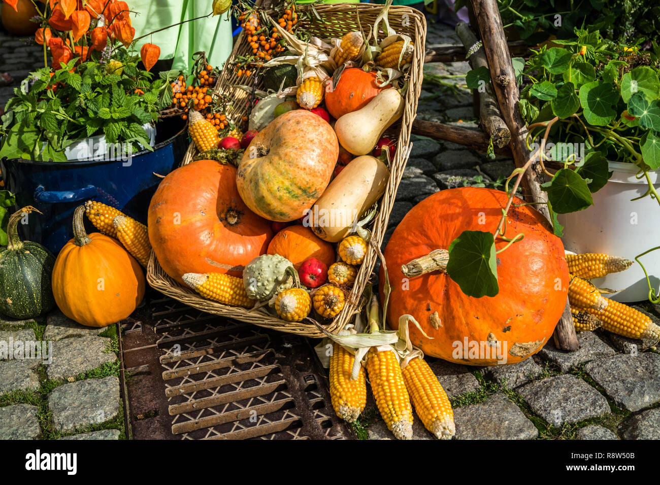 Pumpkin Autumn Festival Stock Photo - Alamy