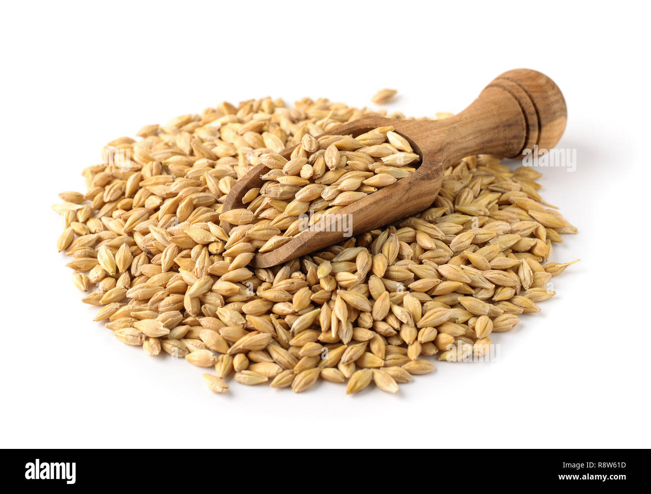 Dry barley seeds and wooden scoop isolated on white Stock Photo - Alamy