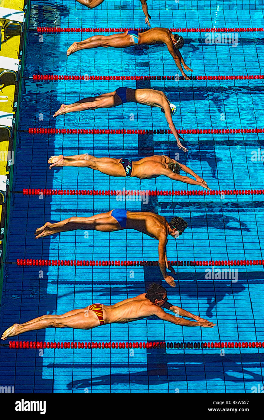 Swimmers at start of race Stock Photo - Alamy
