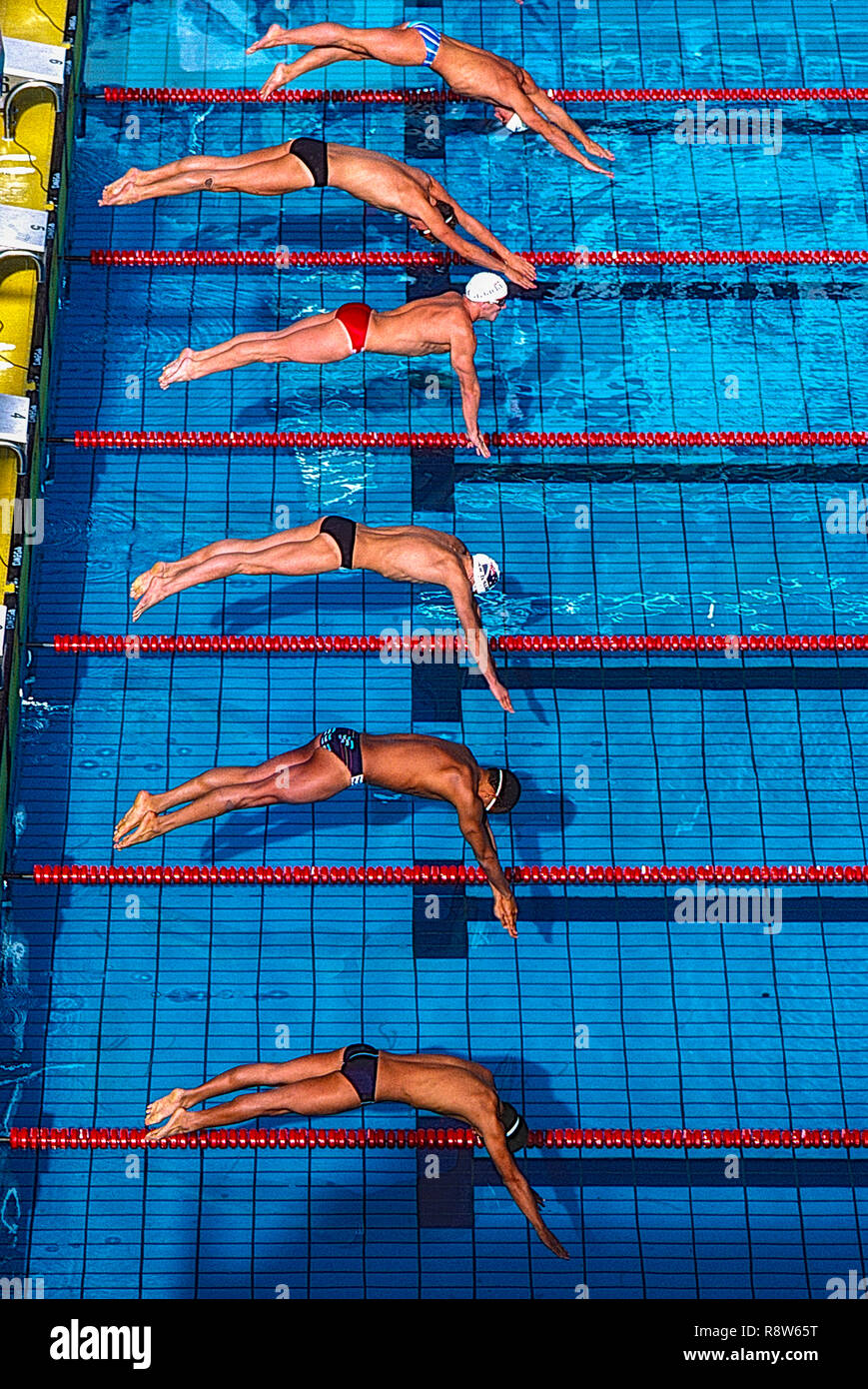Swimmers at start of race Stock Photo - Alamy