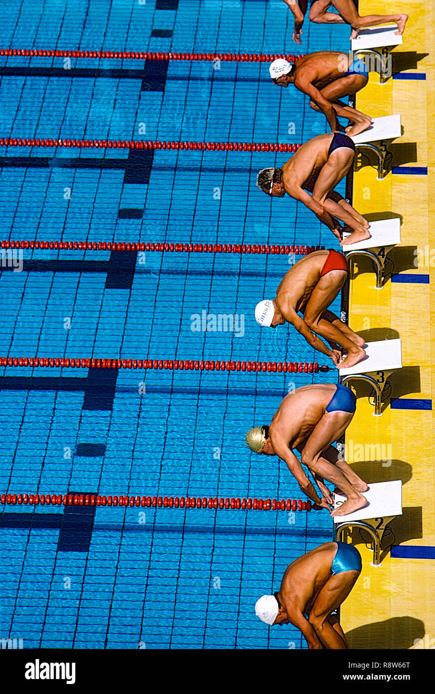 Swimmers at start of race Stock Photo - Alamy