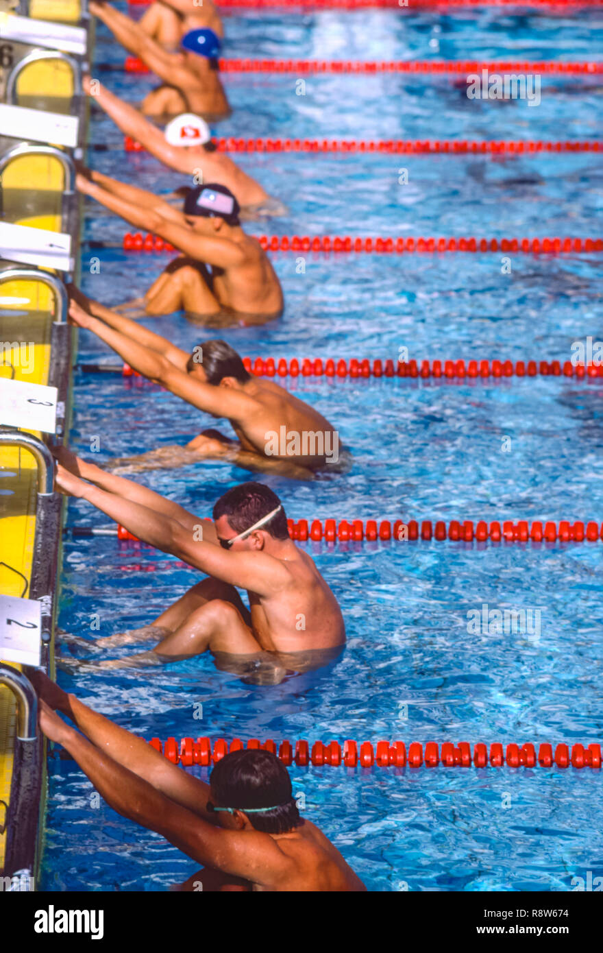 Swimmers at start of race Stock Photo - Alamy