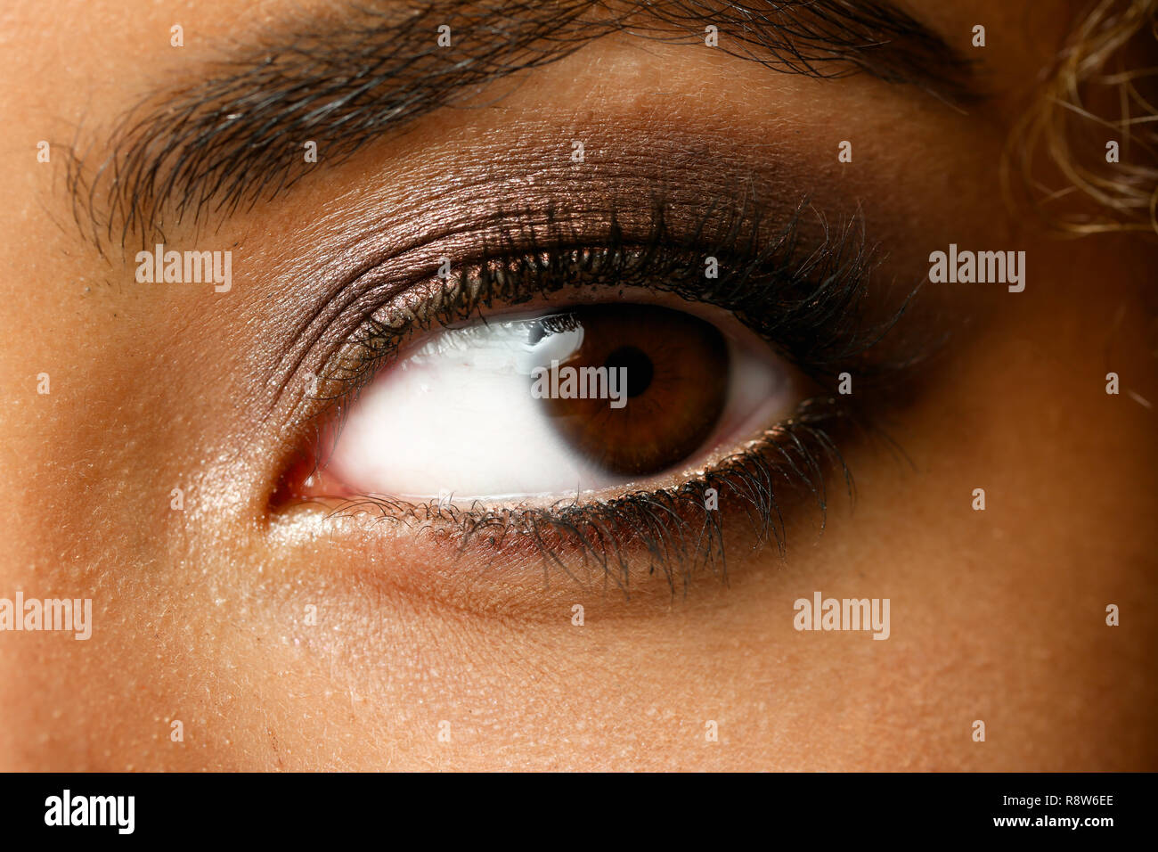 African eye iris hi-res stock photography and images - Alamy