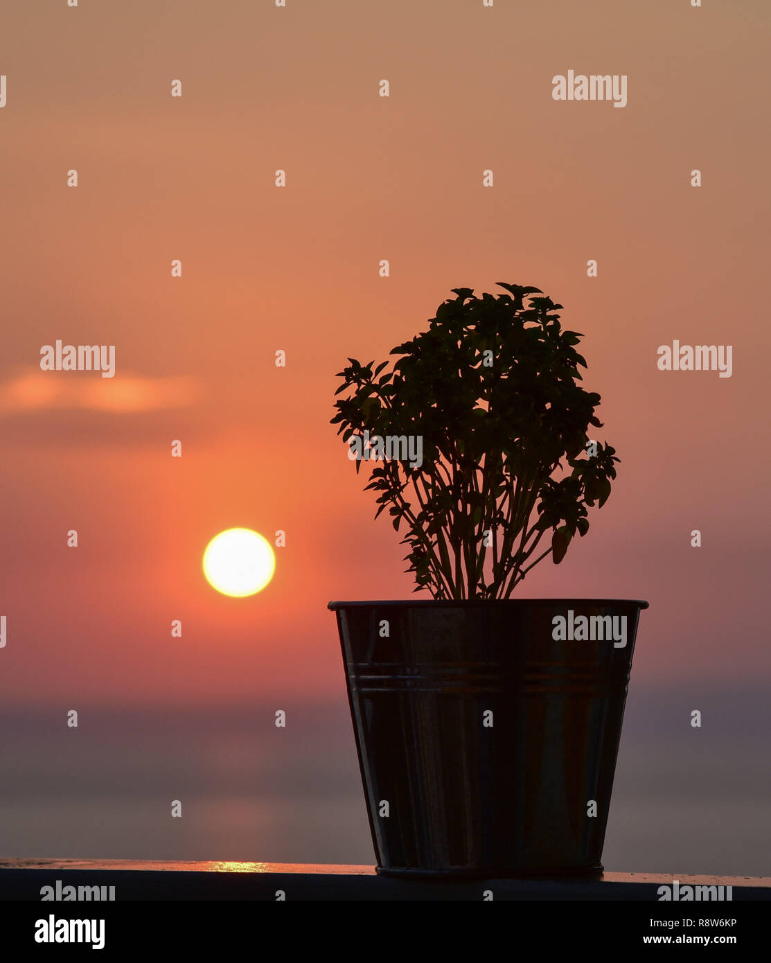 Railing pot hi-res stock photography and images - Alamy