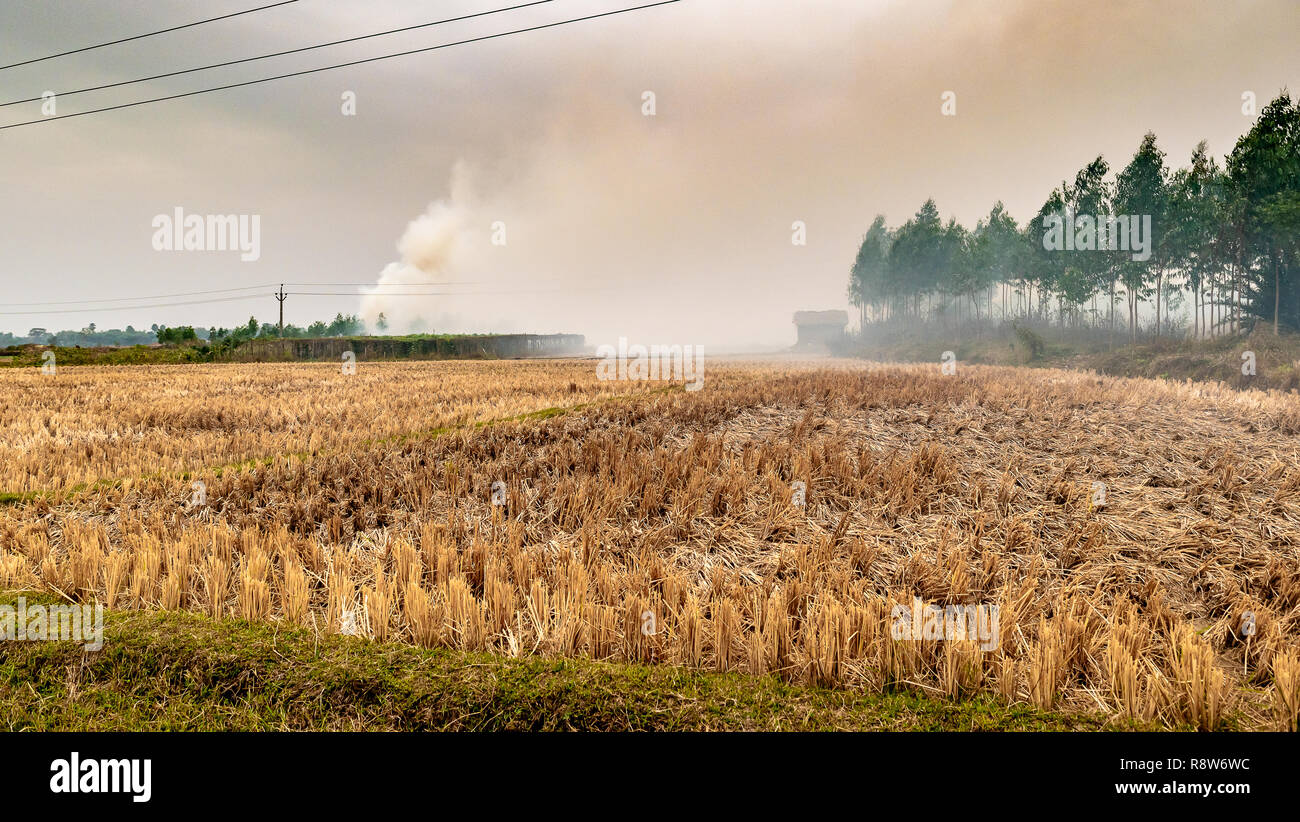 Large amounts of smoke generated by fire, straw and hay in the dry ...