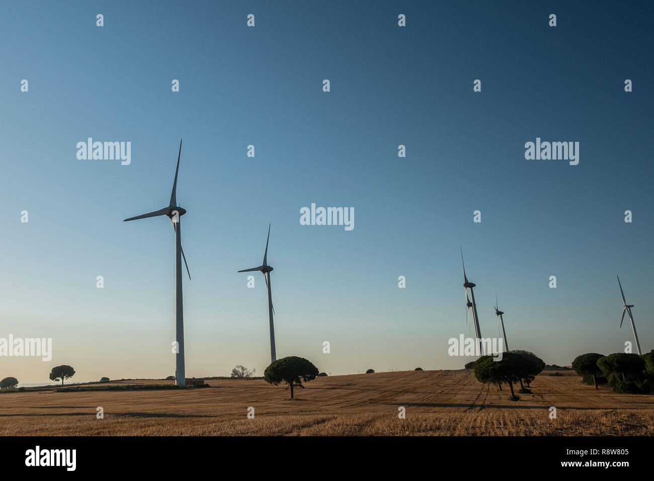 Wind turbines on sunny morning, Andalusia, Spain Stock Photo - Alamy