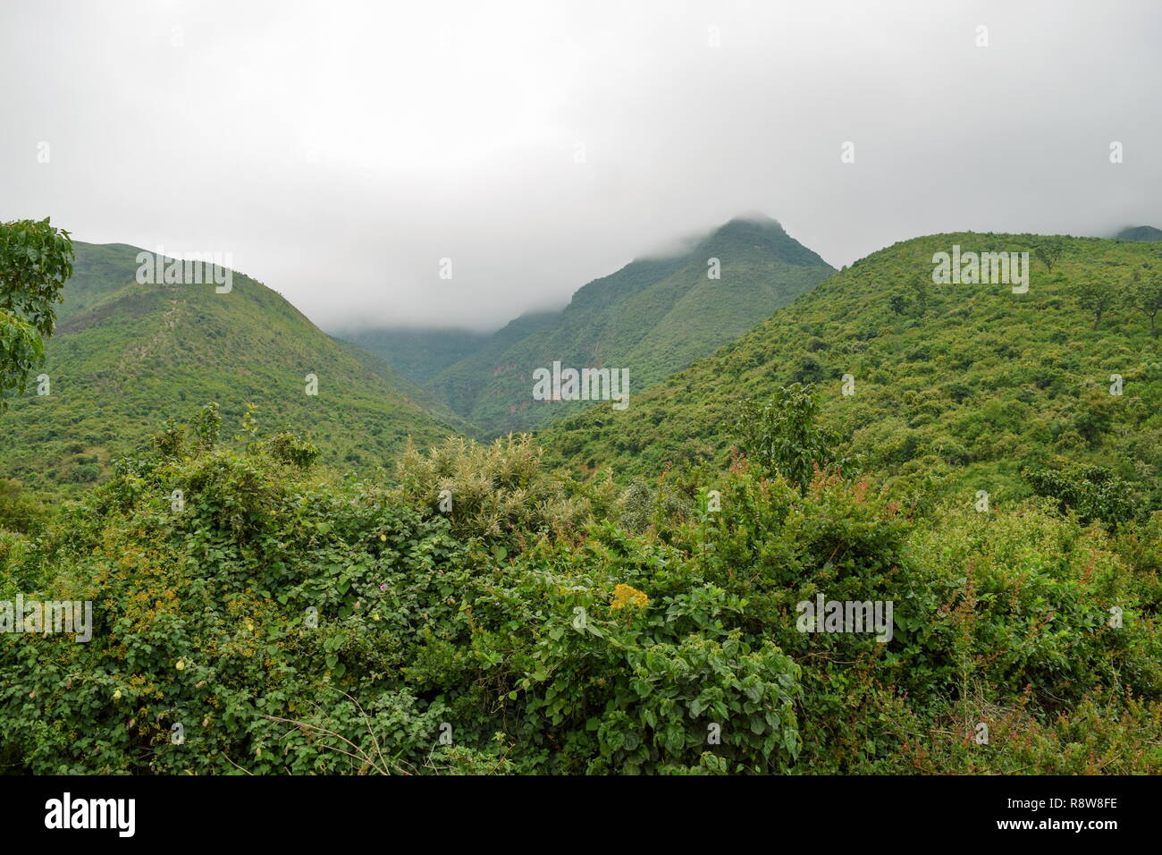 Mountain landscapes against a foggy background, Kijabe Hills in the ...