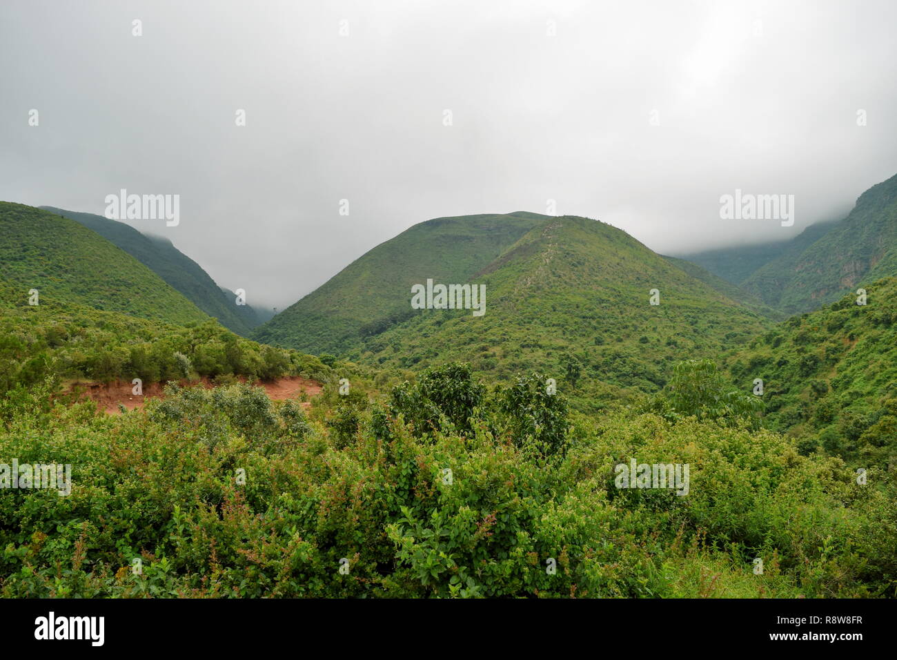 Mountain landscapes against a foggy background, Kijabe Hills in the ...