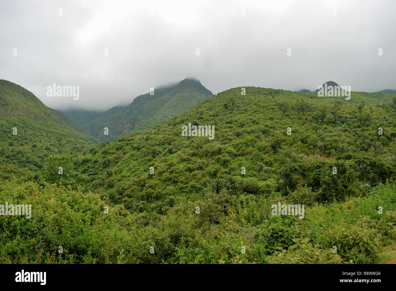 Mountain landscapes against a foggy background, Kijabe Hills in the ...