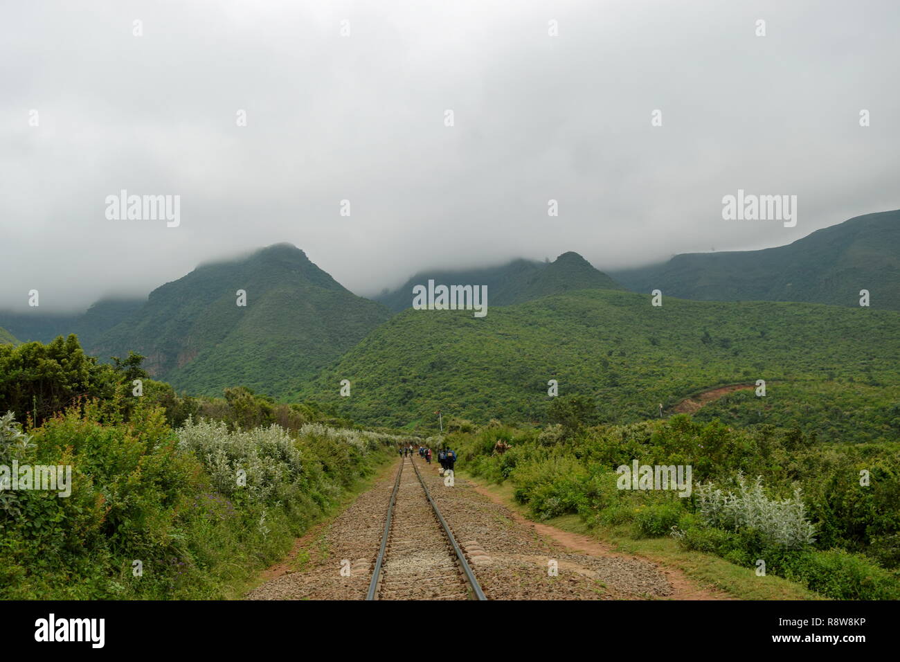 Railway line against a foggy background, Kijabe Hills, Kenya Stock ...