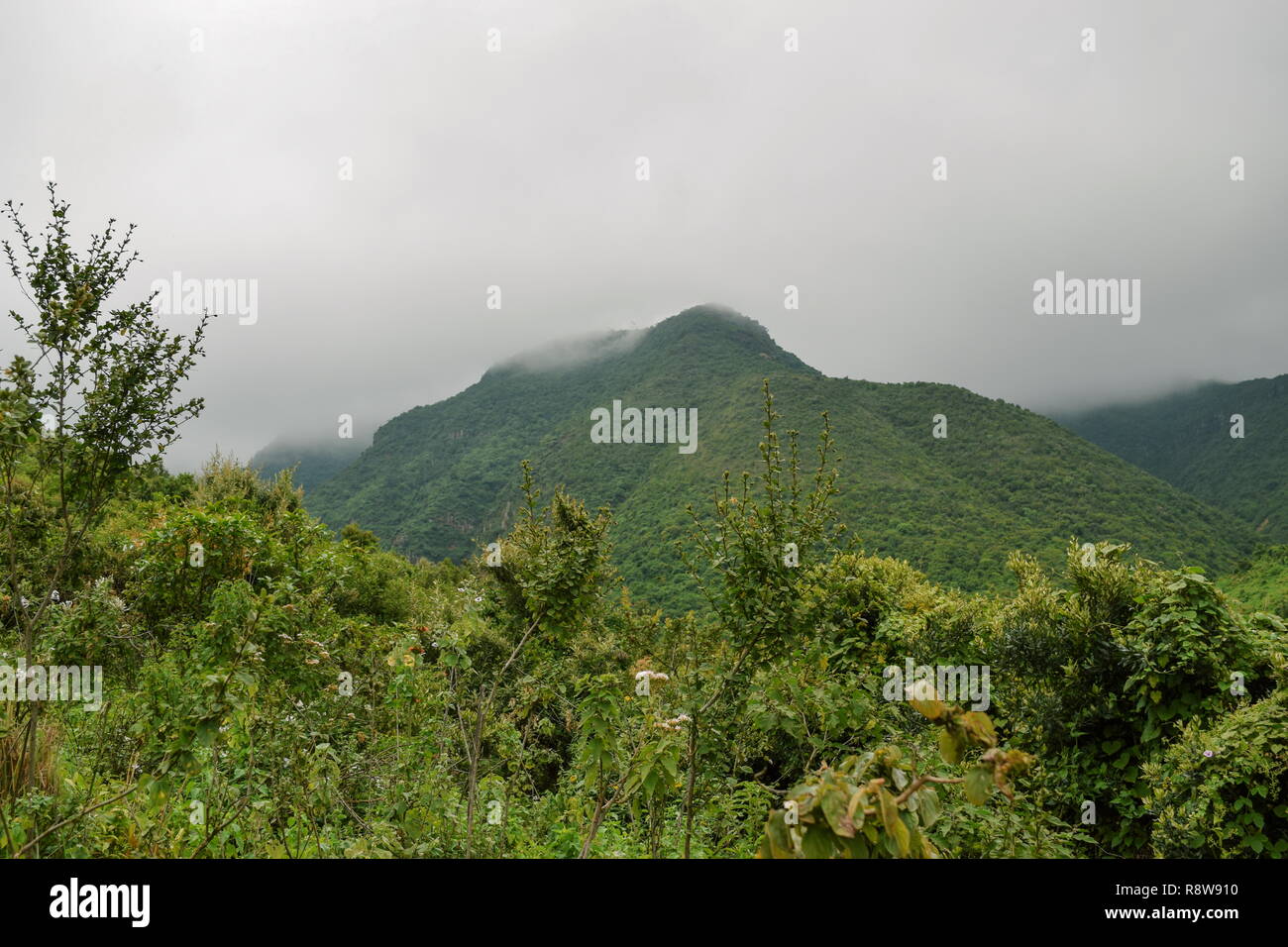 Mountain landscapes against a foggy background, Kijabe Hills in the ...