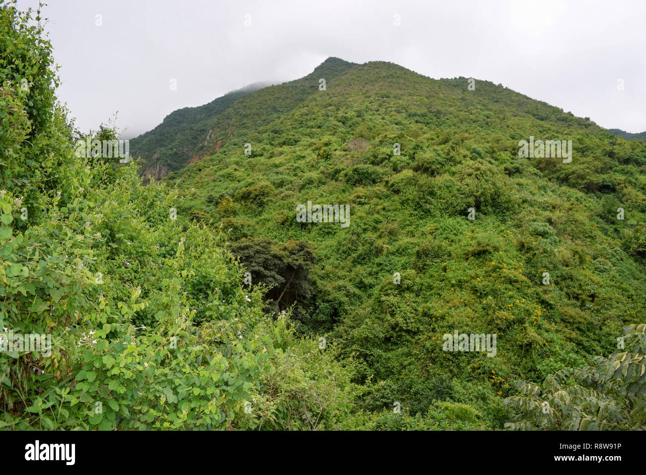 Mountain landscapes against a foggy background, Kijabe Hills in the ...