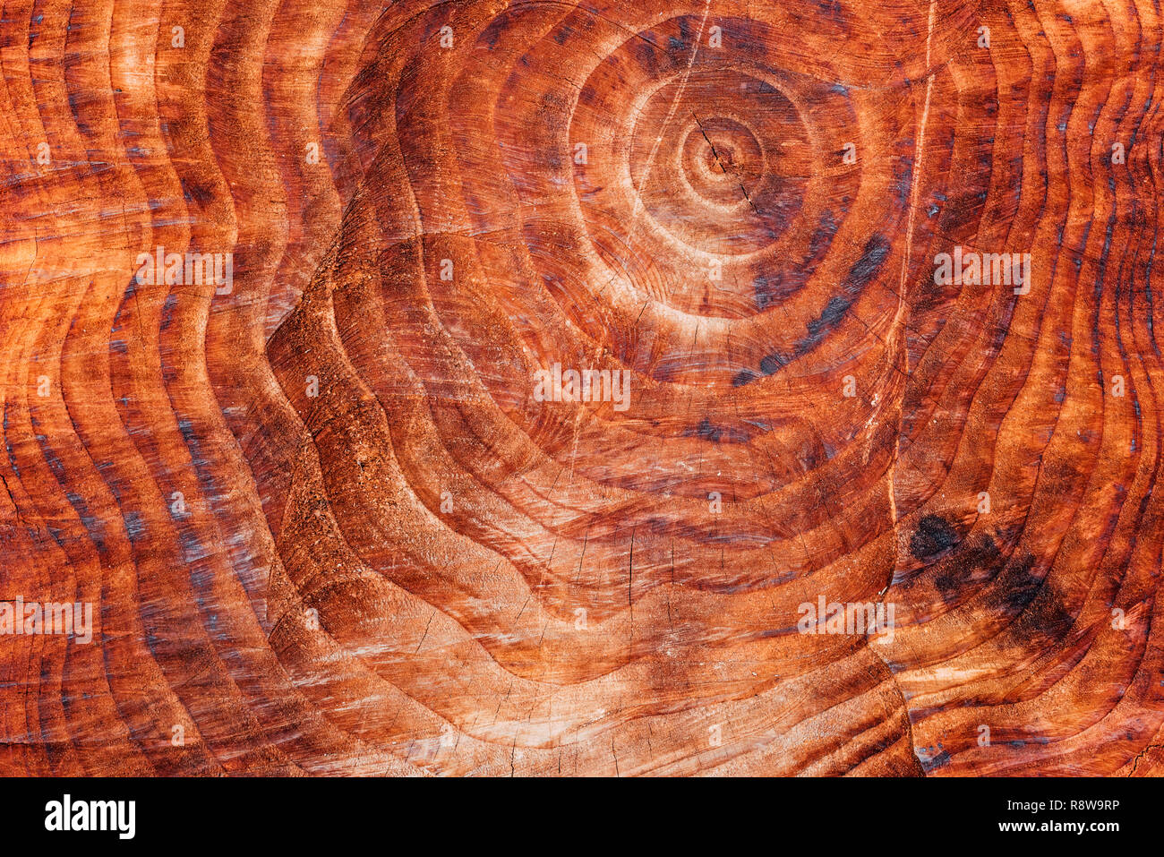 Cross section pattern hi-res stock photography and images - Alamy