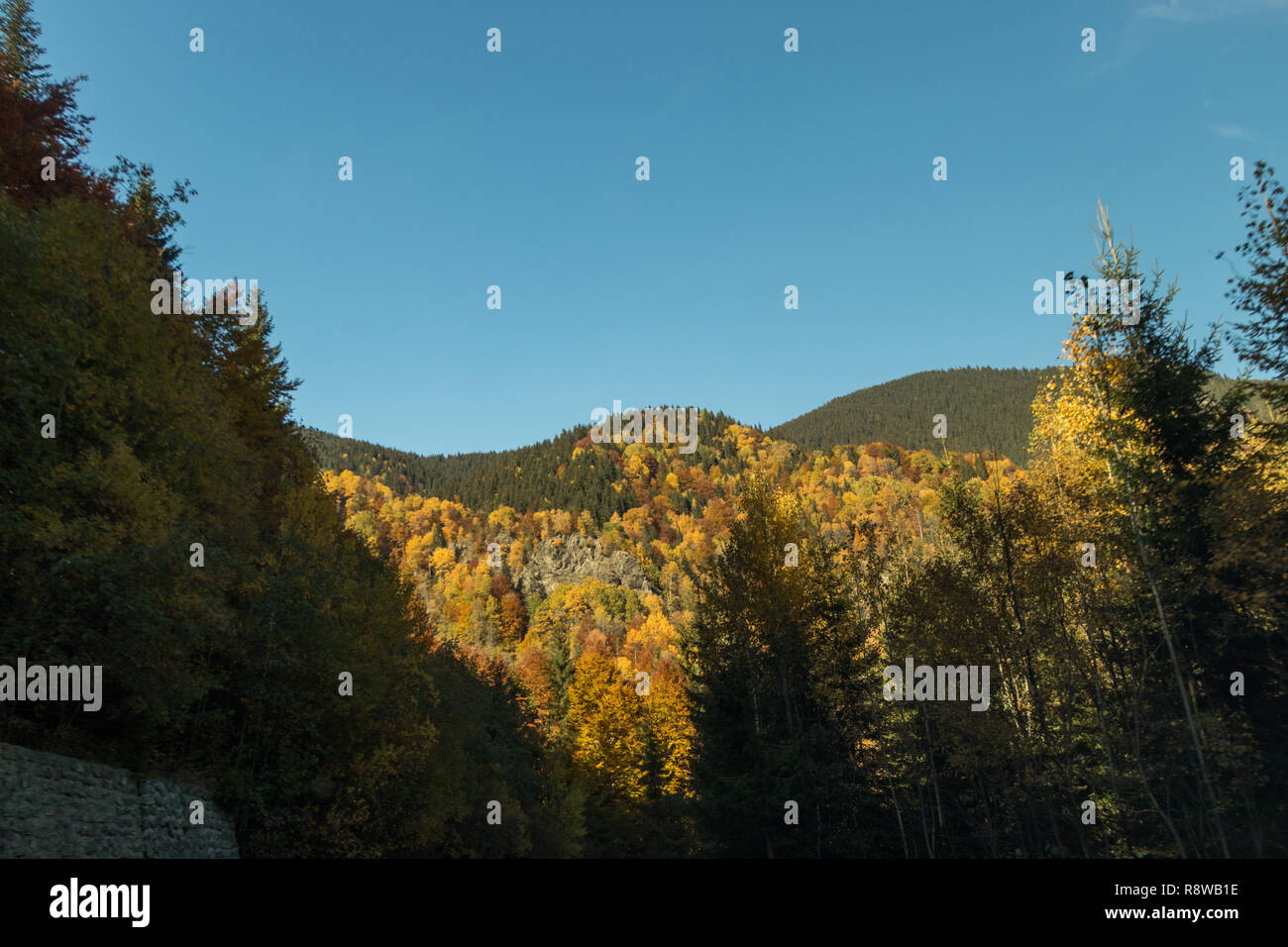 Blue mountain, forest hill hi-res stock photography and images - Alamy