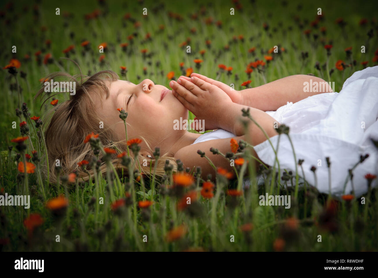Girl praying outside hi-res stock photography and images - Alamy