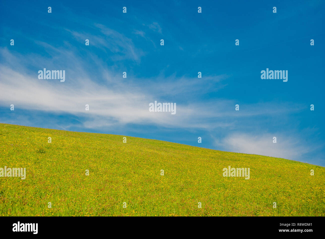 Beautiful nature way path hi-res stock photography and images - Alamy
