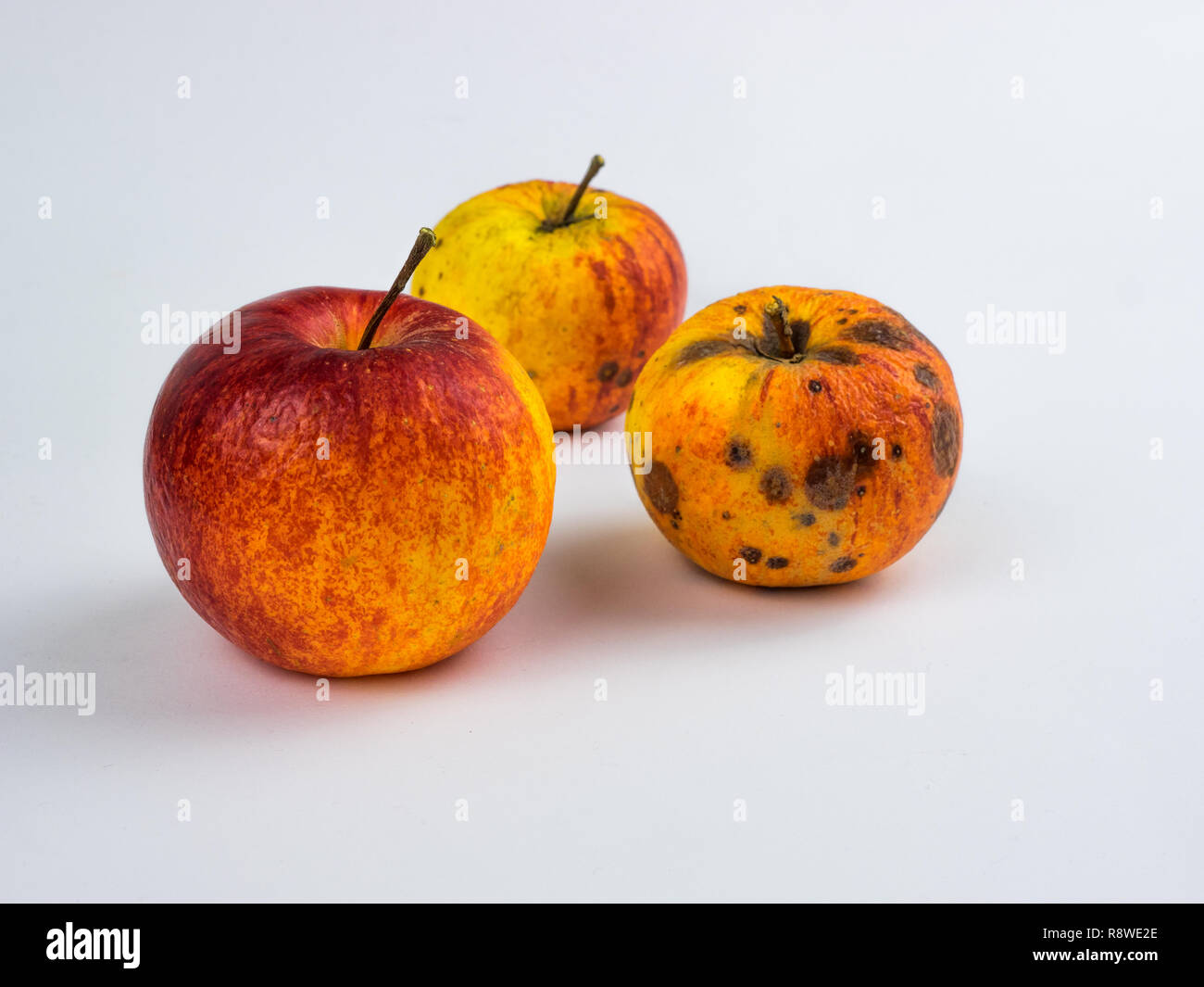 Overripe apples on white background Stock Photo - Alamy