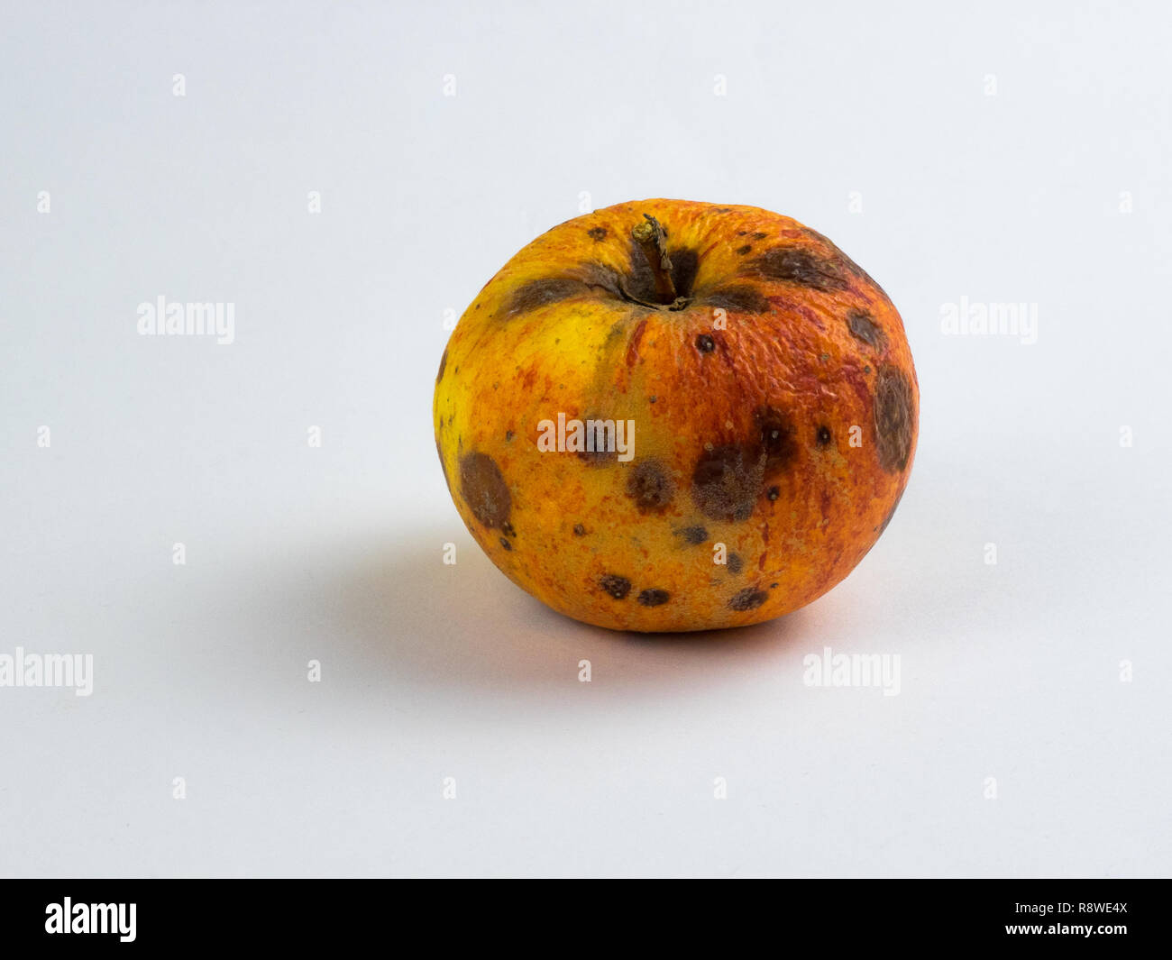Black spots on apples hi-res stock photography and images - Alamy