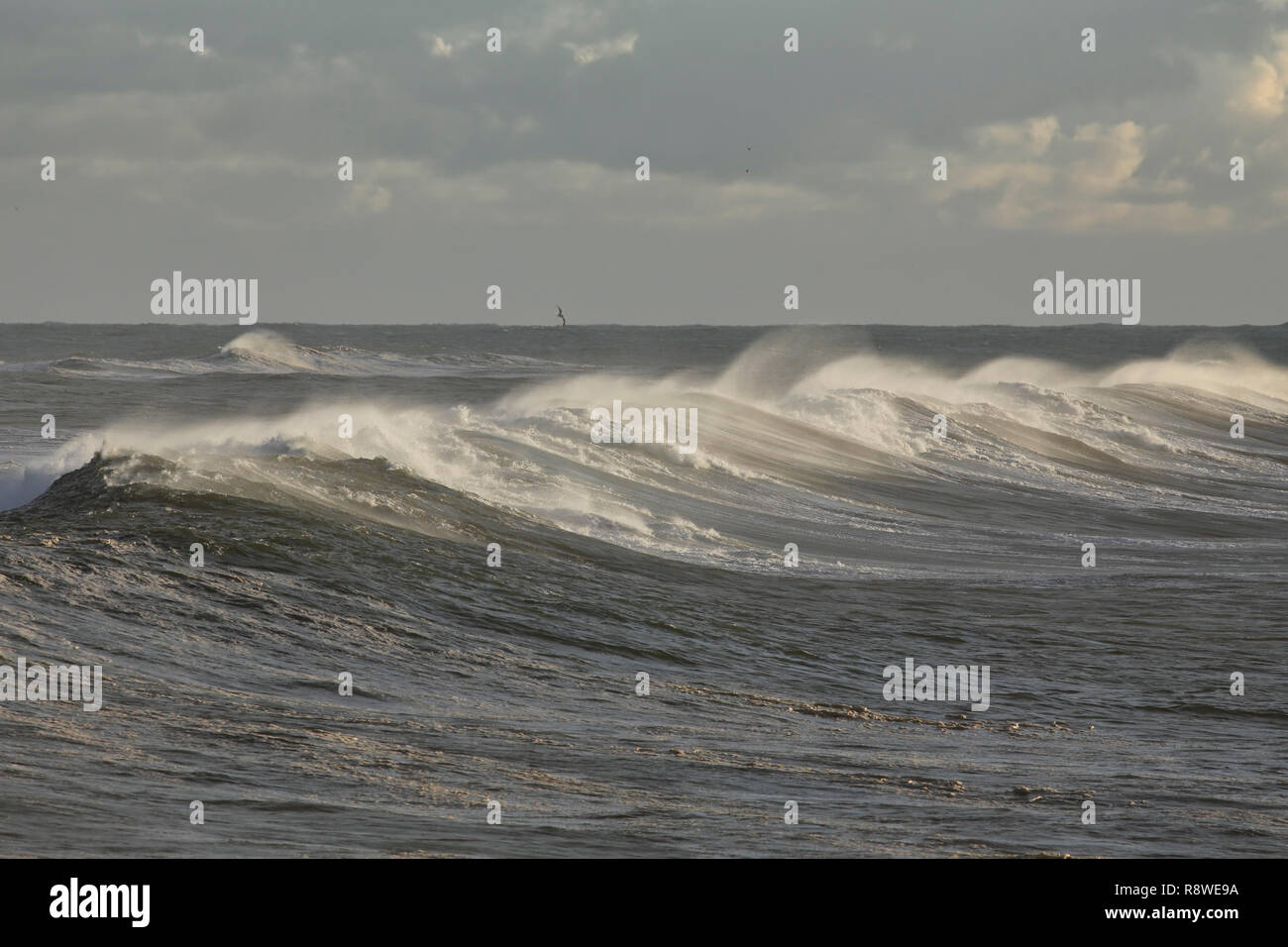 Long sea wave with spray as seen from behind Stock Photo - Alamy