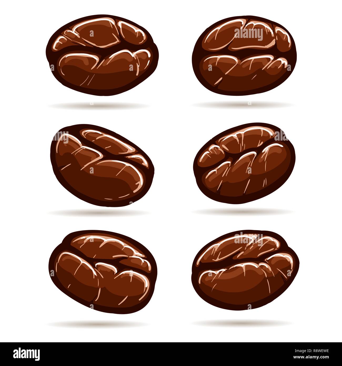 coffee bean drawing vector