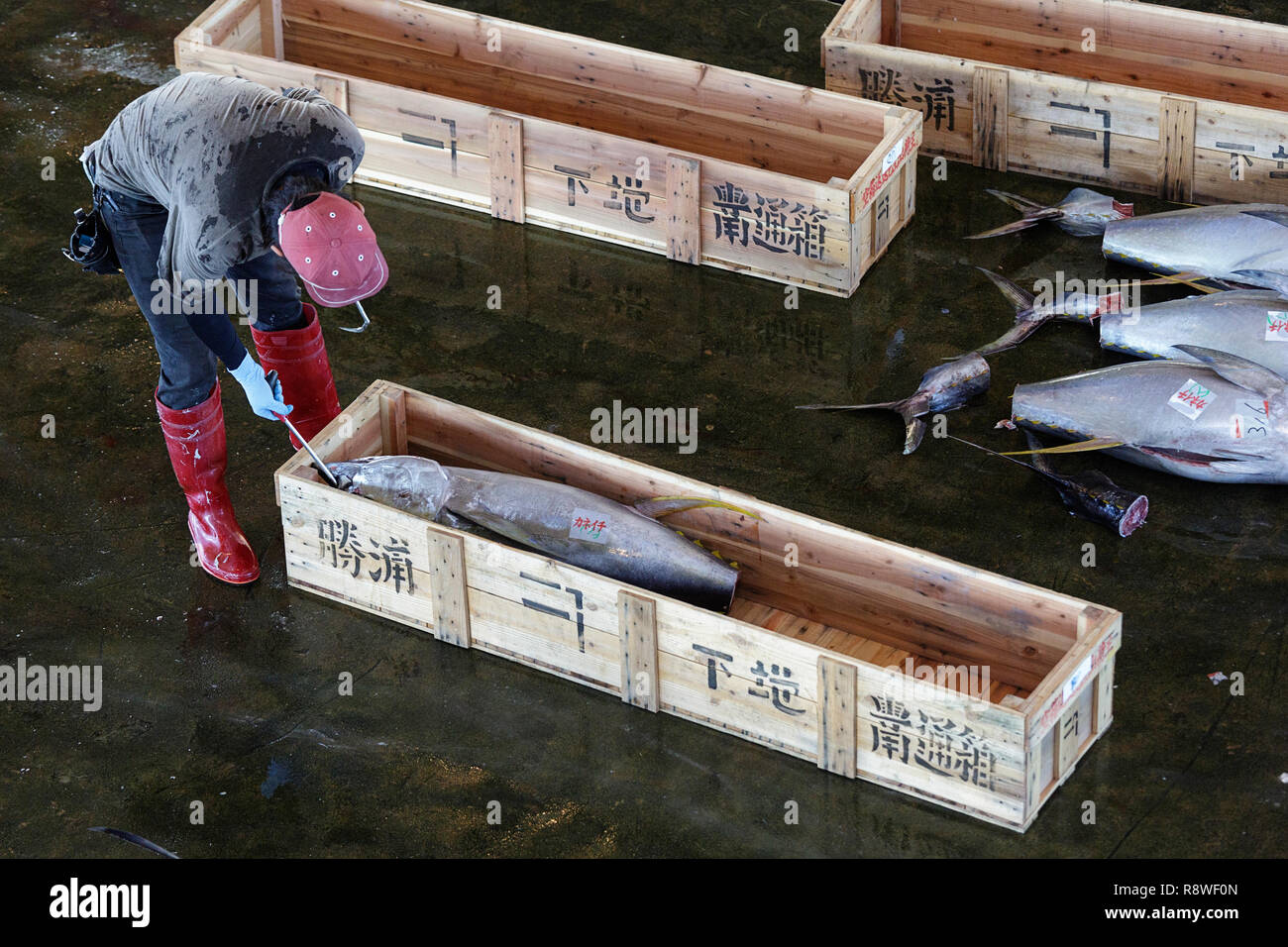 Wooden fish boxes hi-res stock photography and images - Alamy