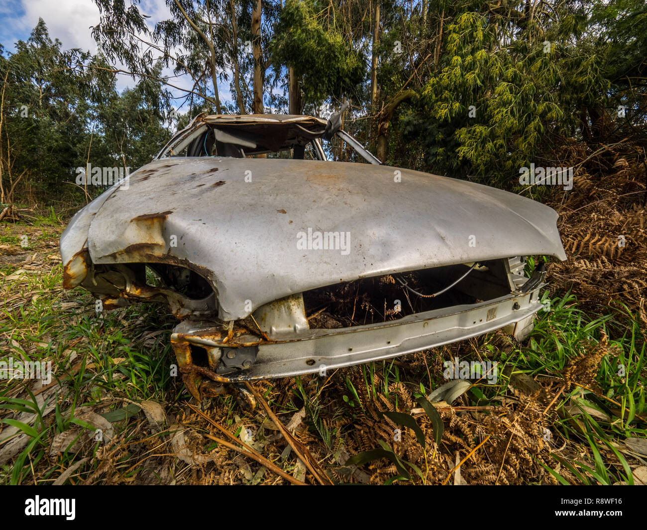 Car wreck in the woods Stock Photo - Alamy
