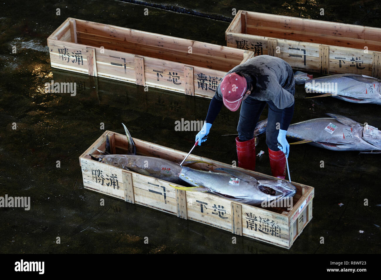 Wooden fish boxes hi-res stock photography and images - Alamy