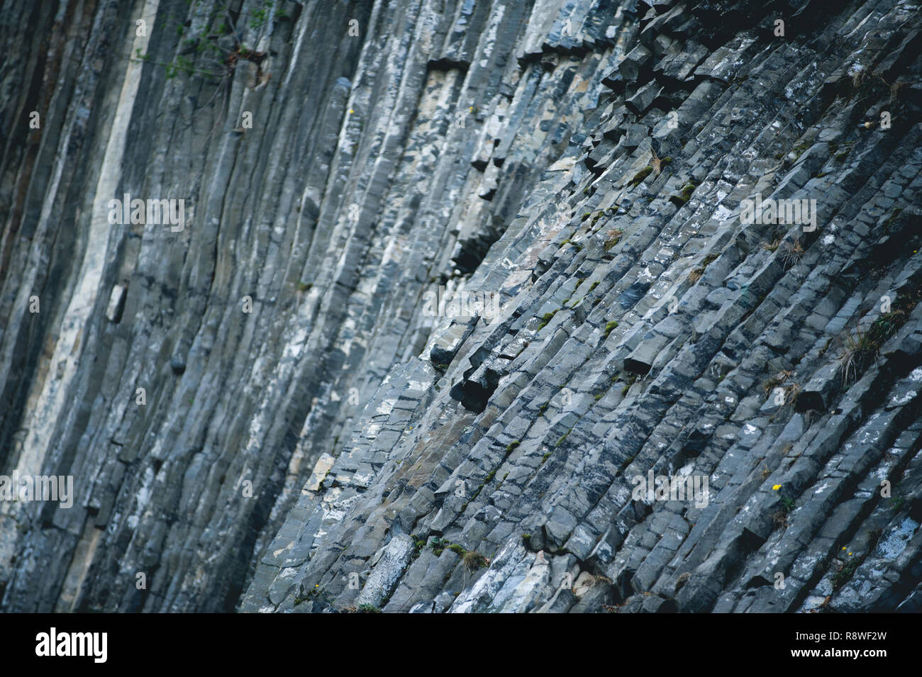 Detail of Famous Basalt Rock from Czech Switzerland Stock Photo - Alamy