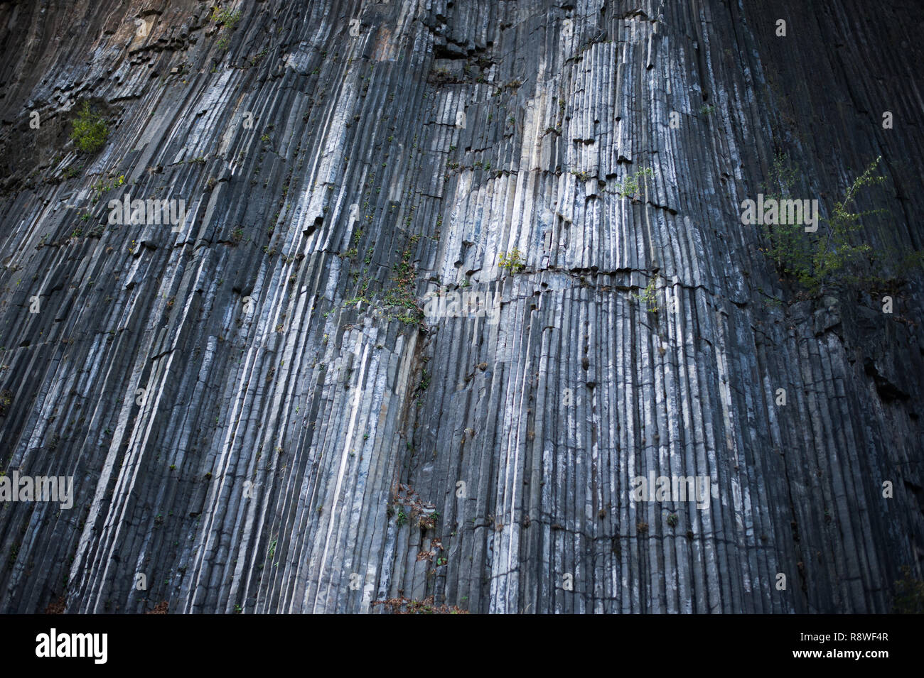 Detail of Basalt Rock from Czech Switzerland Stock Photo - Alamy
