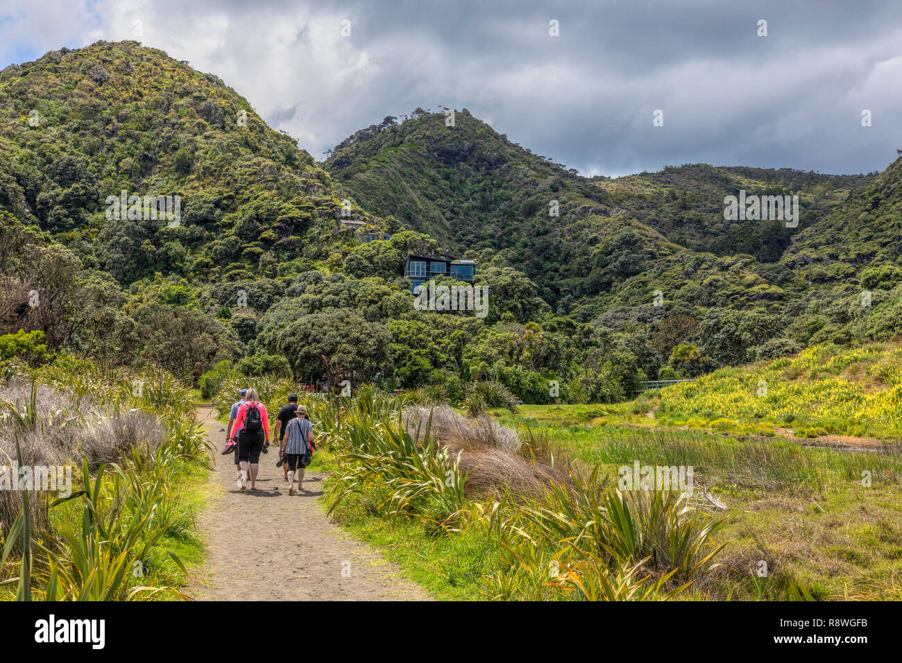 Waitakere hi-res stock photography and images - Alamy