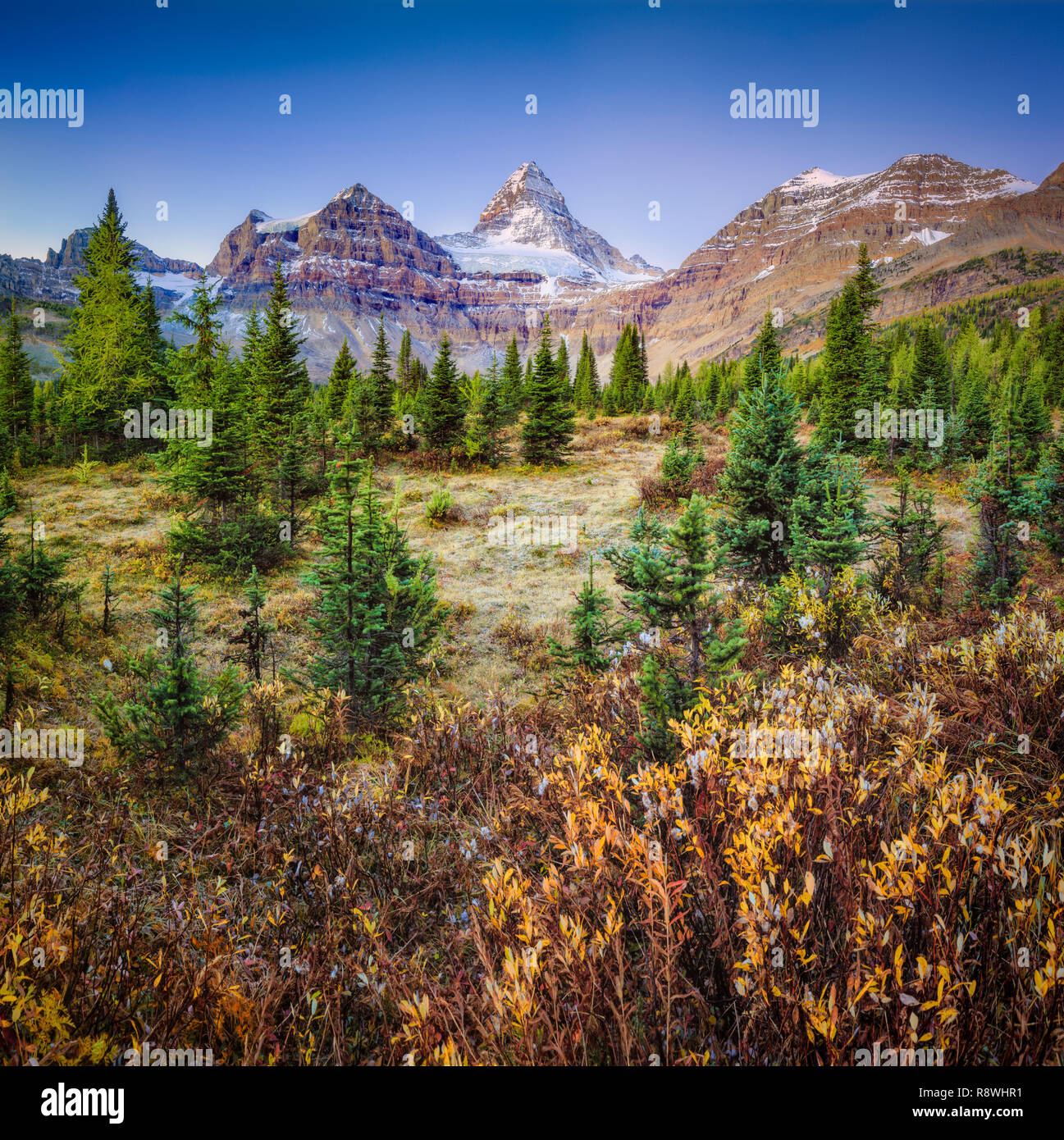 Mt assiniboine hi-res stock photography and images - Alamy