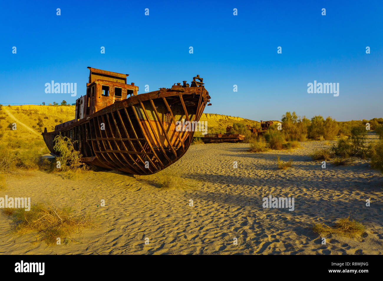Kizilkum High Resolution Stock Photography and Images - Alamy