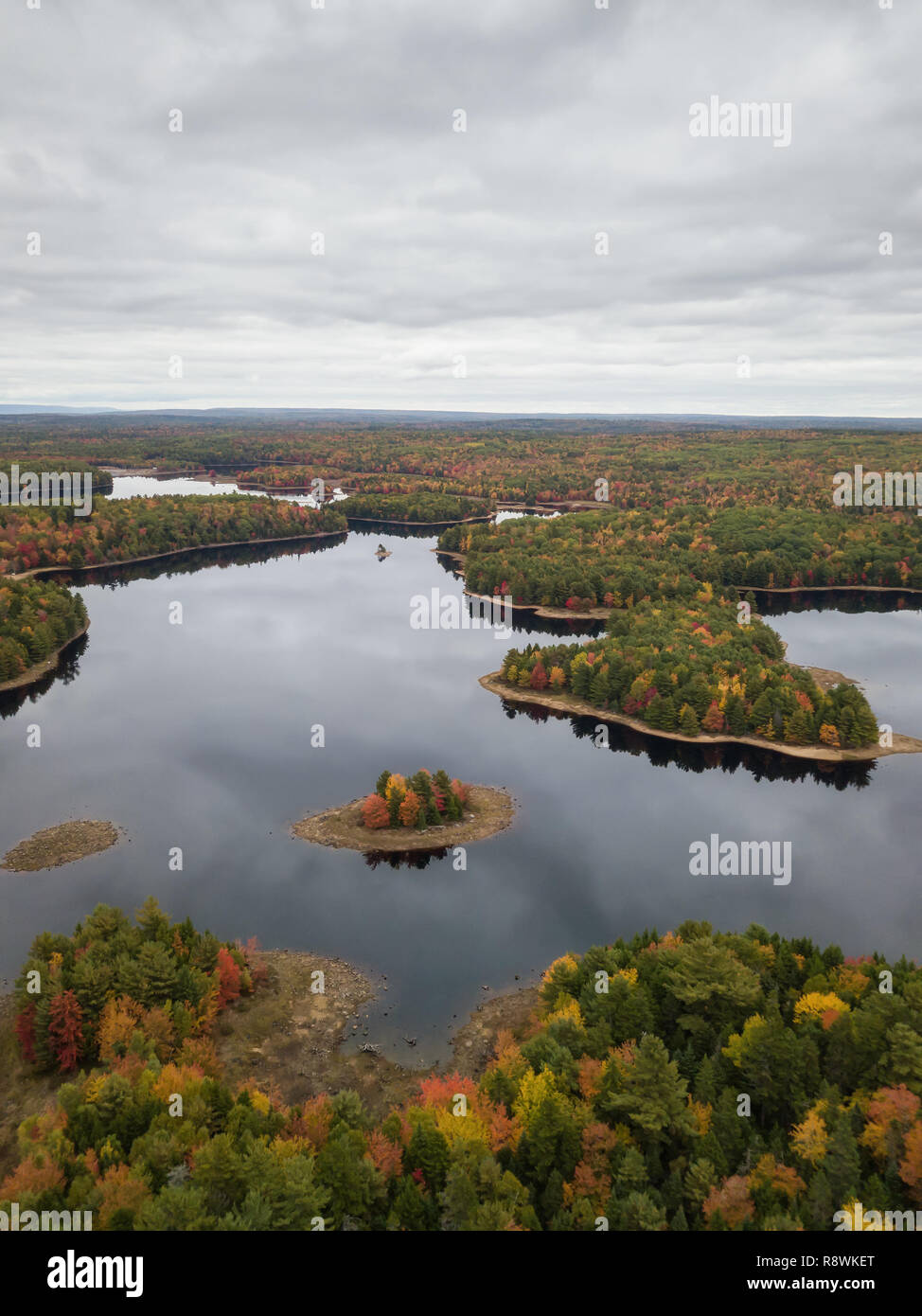 Aerial view of a beautiful lake in the forest with colorful trees ...