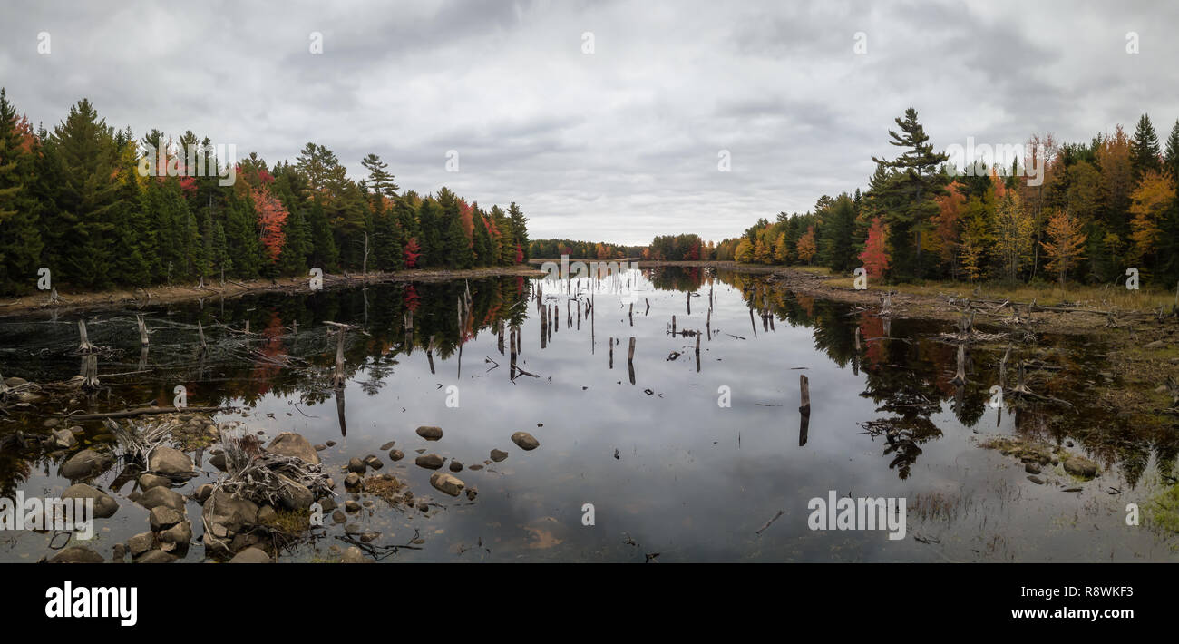 Aerial panoramir view of a beautiful lake in the forest with colorful ...