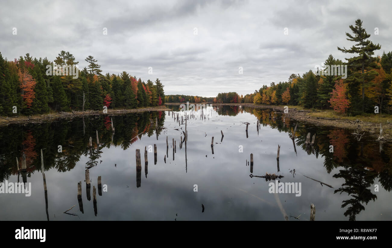 Aerial panoramir view of a beautiful lake in the forest with colorful ...