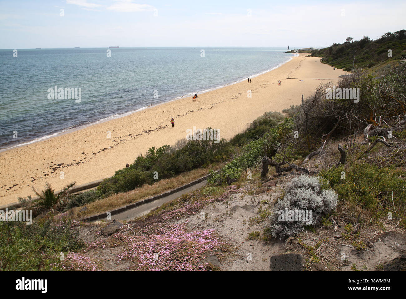 Sandringham beach melbourne hi-res stock photography and images - Alamy