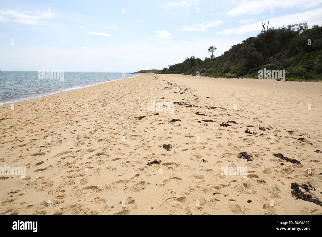 Sandringham beach melbourne hi-res stock photography and images - Alamy