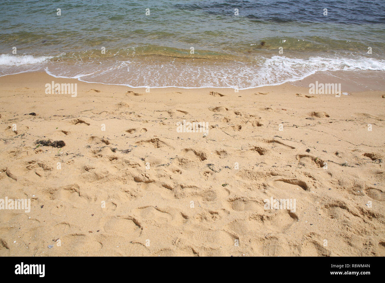 Sandringham beach melbourne hi-res stock photography and images - Alamy