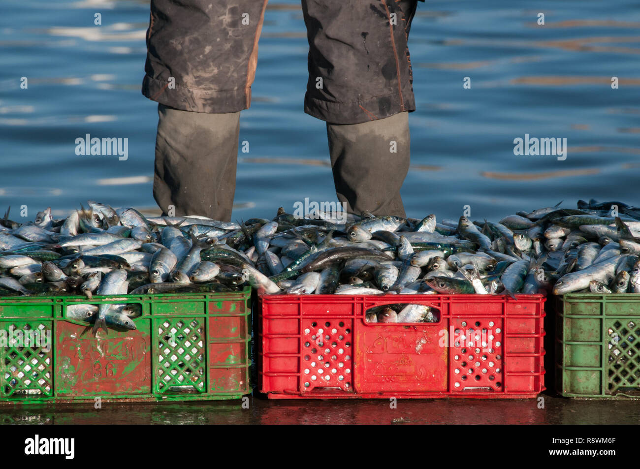 Plastic fishing bins hi-res stock photography and images - Alamy