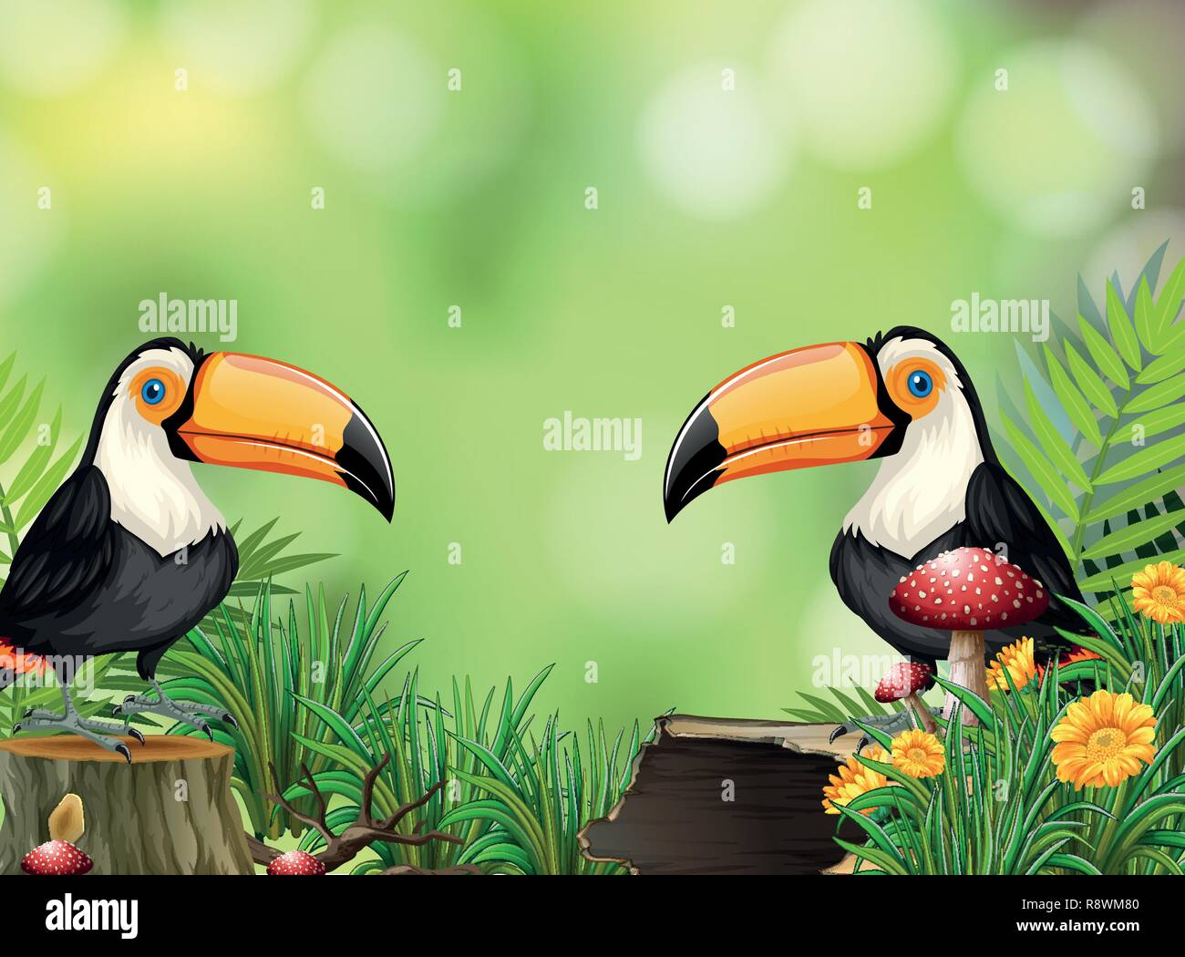 Toucan in nature background illustration Stock Vector Image & Art - Alamy