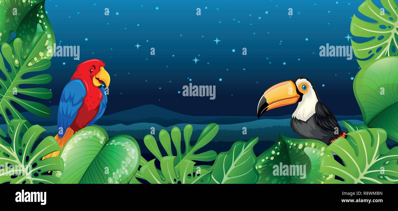 Two birds nature frame illustration Stock Vector Image & Art - Alamy