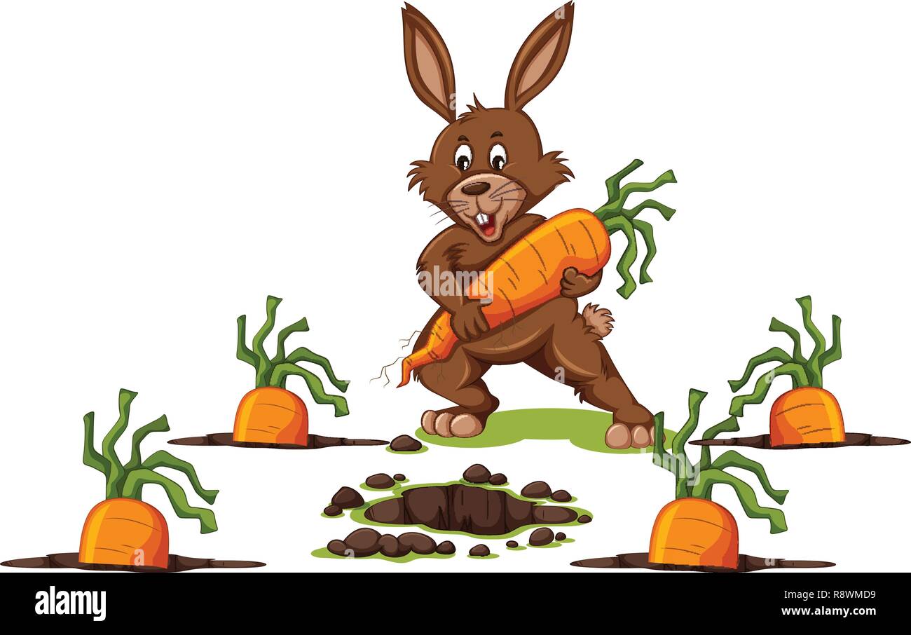 Rabbit carrots Stock Vector Images - Alamy