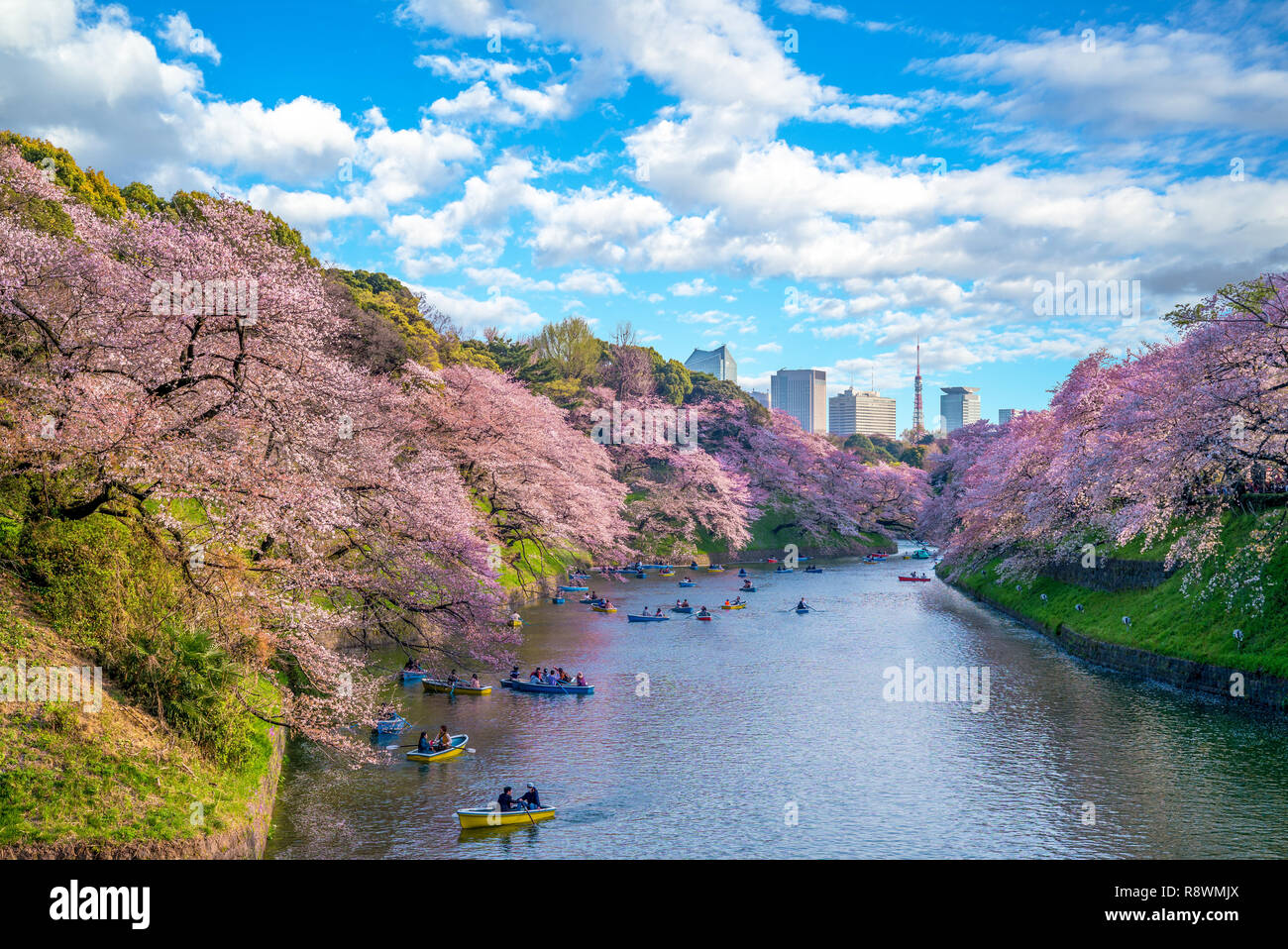 Chidorigafuchi moat hi-res stock photography and images - Alamy