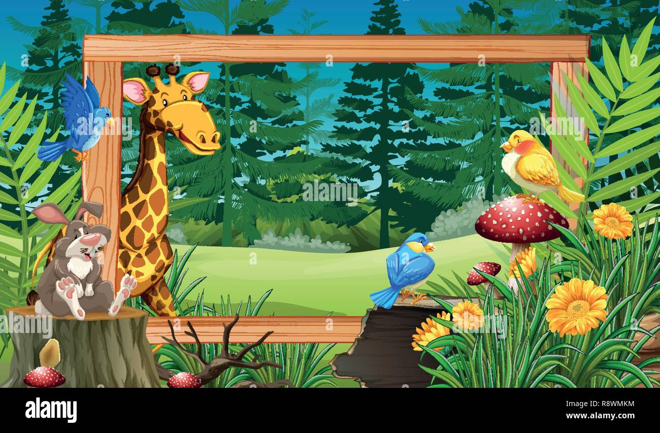 Wild animals in wooden frame illustration Stock Vector Image & Art - Alamy