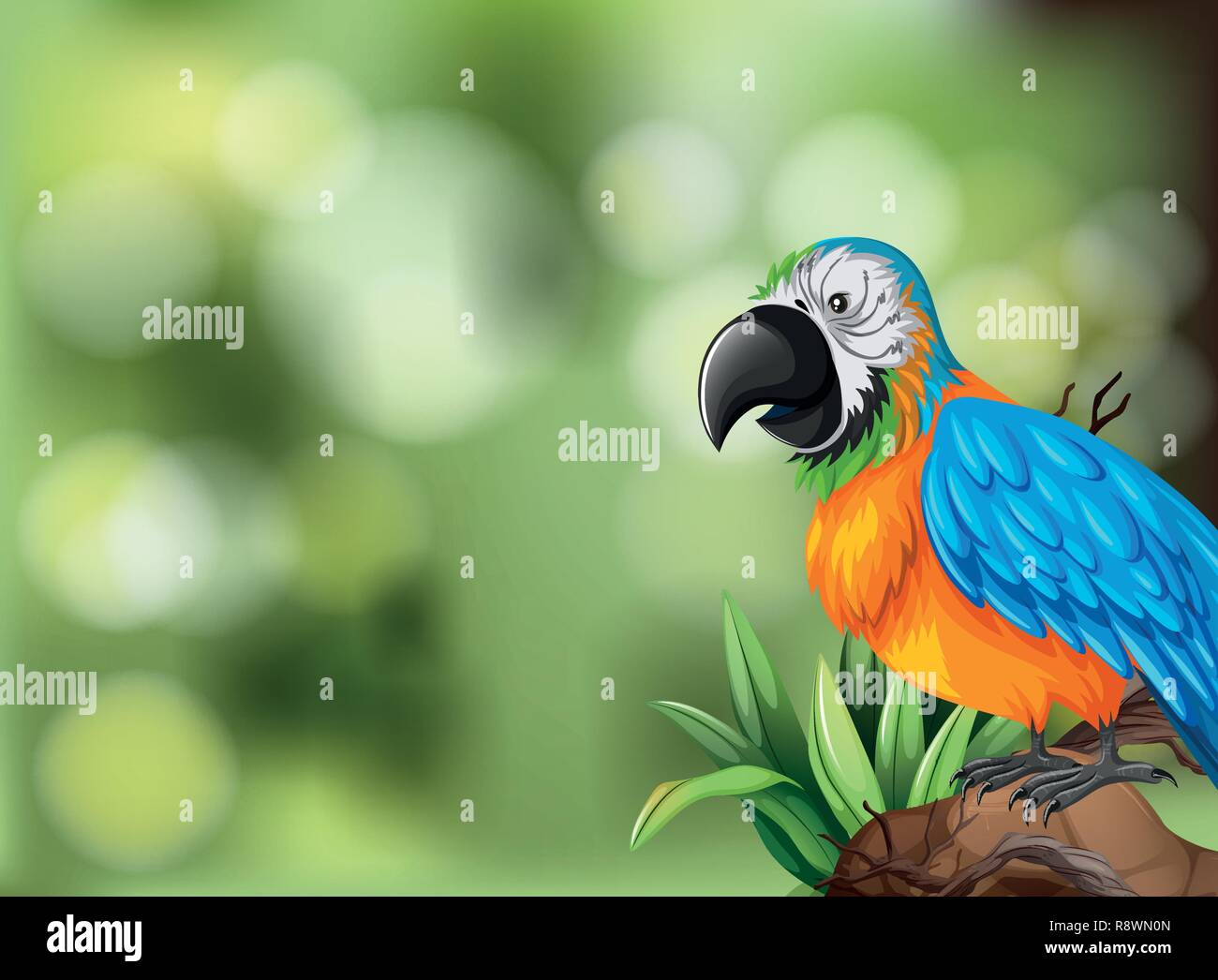 Colorful parrot background scene illustration Stock Vector Image & Art ...