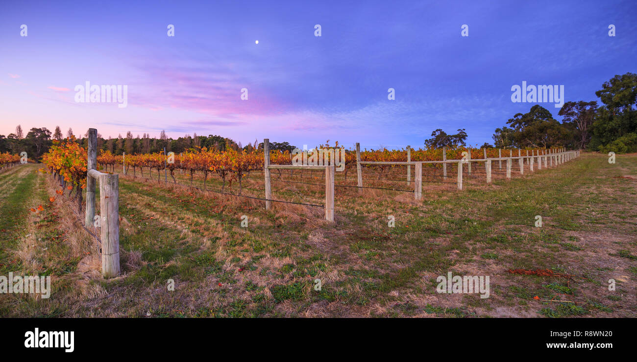 Fall Foliage In Winery Stock Photo - Alamy